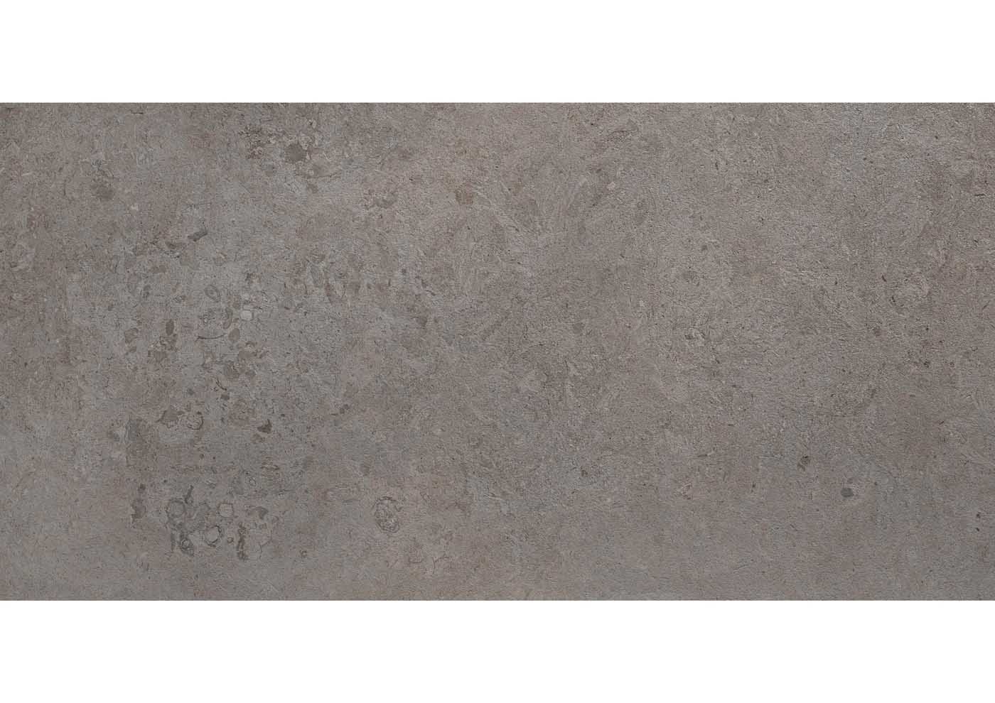 Limestone Vison 30X60R | ROCATILES